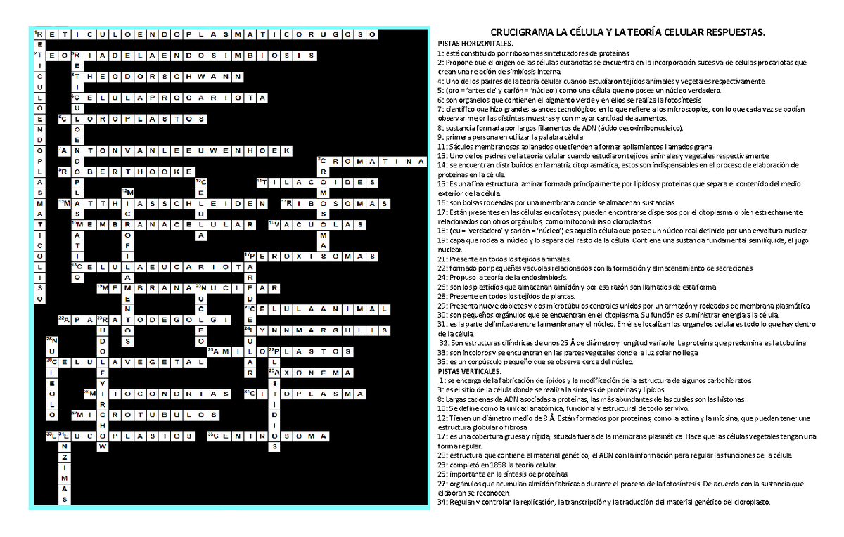 Crucigrama LA Célula Y LA Teoría Celular Respuestas - CRUCIGRAMA LA ...