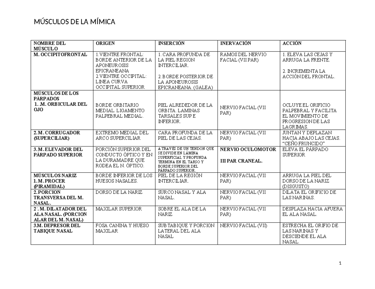 Musculos DE LA MÍMICA Y Mastic 1a1a42e4299337 dd5a1667bbf15459 da ...