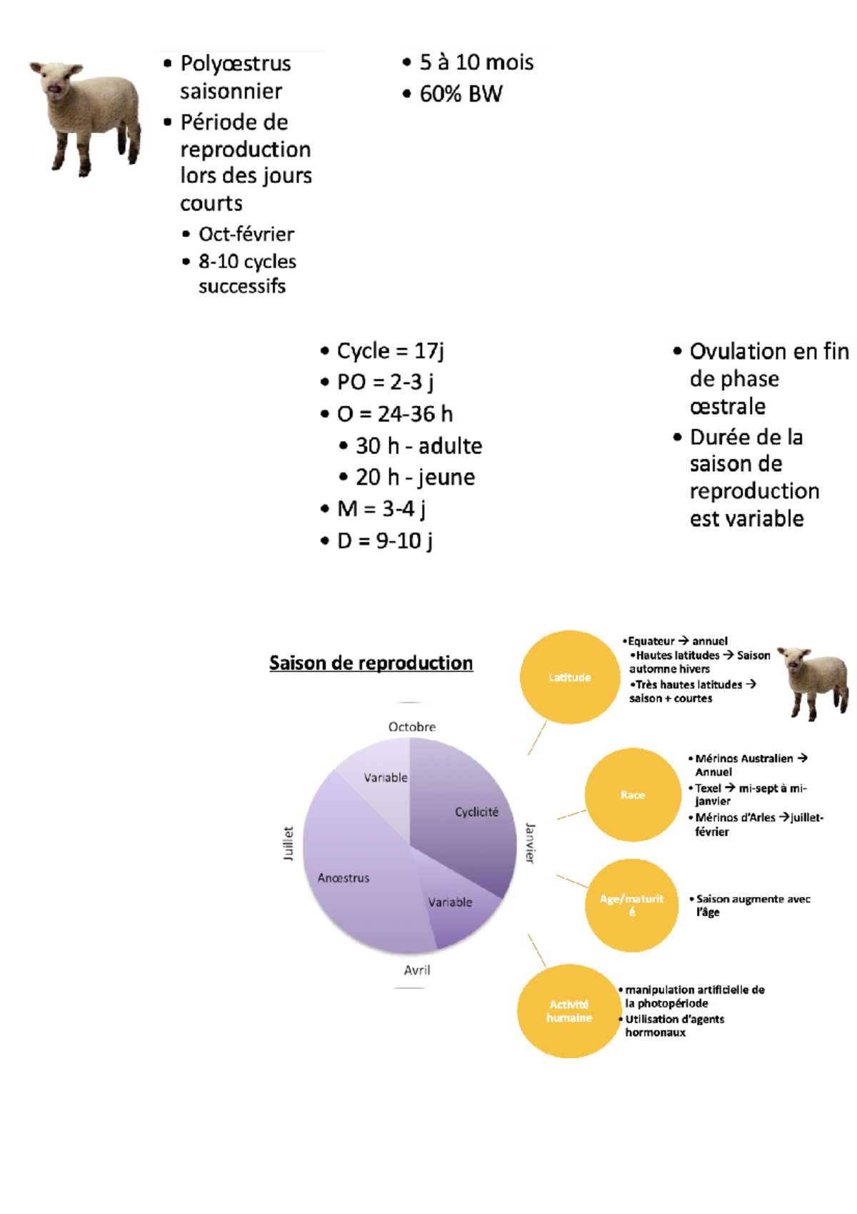 Cycle Brebis - Fichier à annoter - Physiologie de la reproduction ...