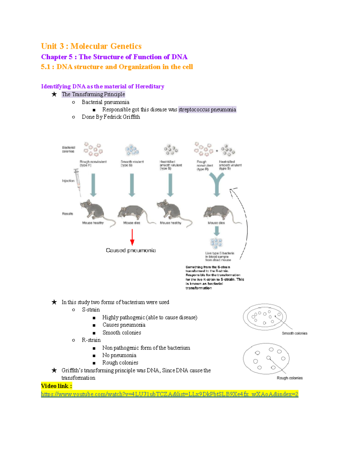 Grade 12 Biology Unit 3 - Unit 3 : Molecular Genetics Chapter 5 : The ...