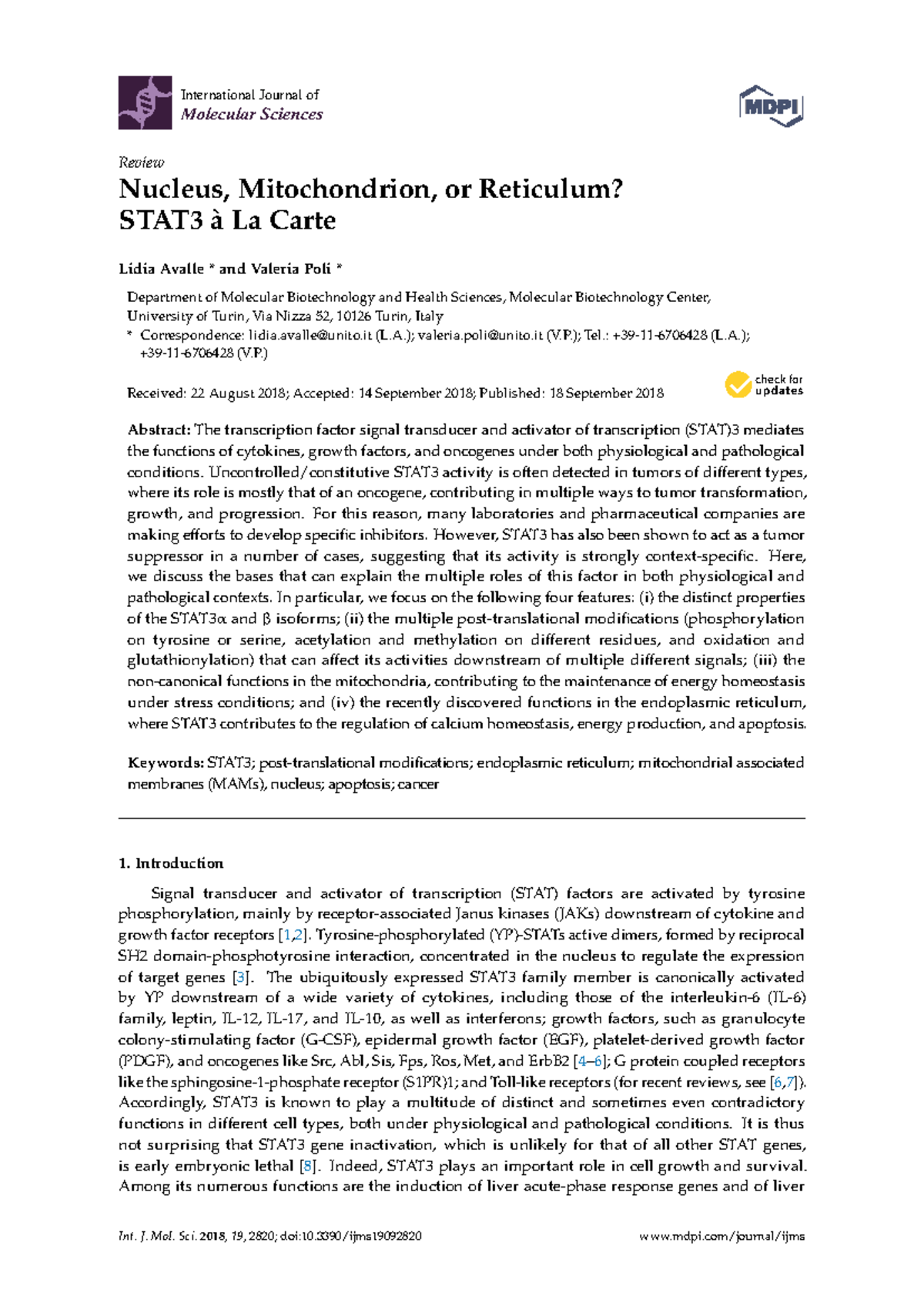 STAT3 Mitocondria - International Journal of Molecular Sciences Review ...