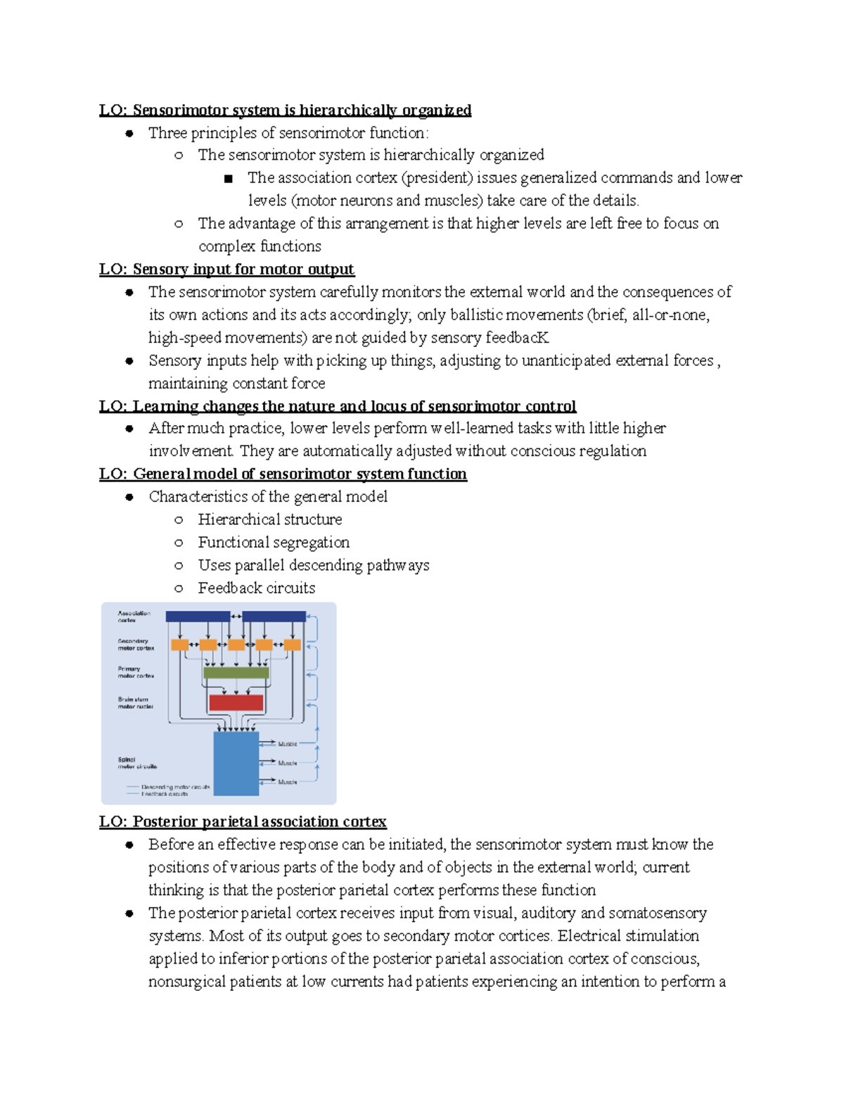 THE Sensorimotor System 8 - LO: Sensorimotor system is hierarchically organized Three principles ...