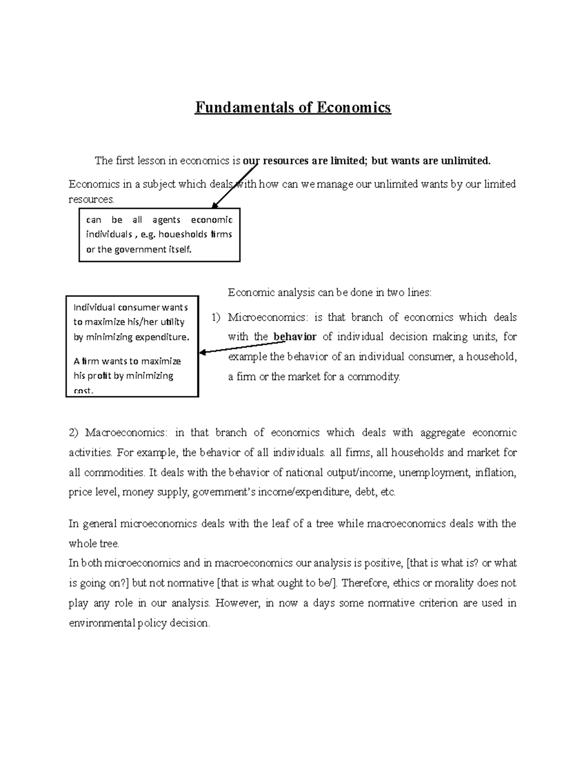 Fundamental of Economics - can be all agents economic individuals , e ...
