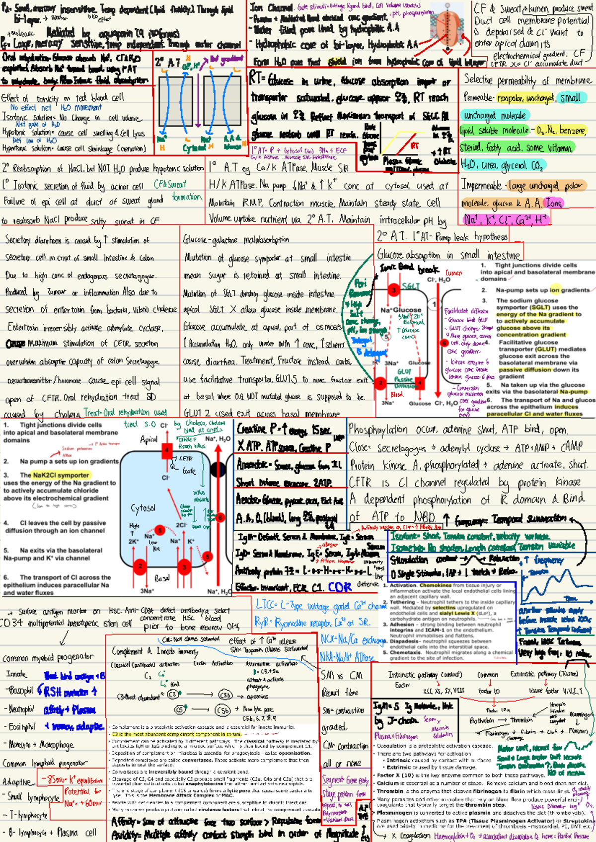 Copy of Exam Cheat Sheet 2 - p - Small , mercury insensitive I Temp ...