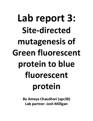 Lab Report 4 - Lecture notes lab class 4 - Lab report: Purification of ...