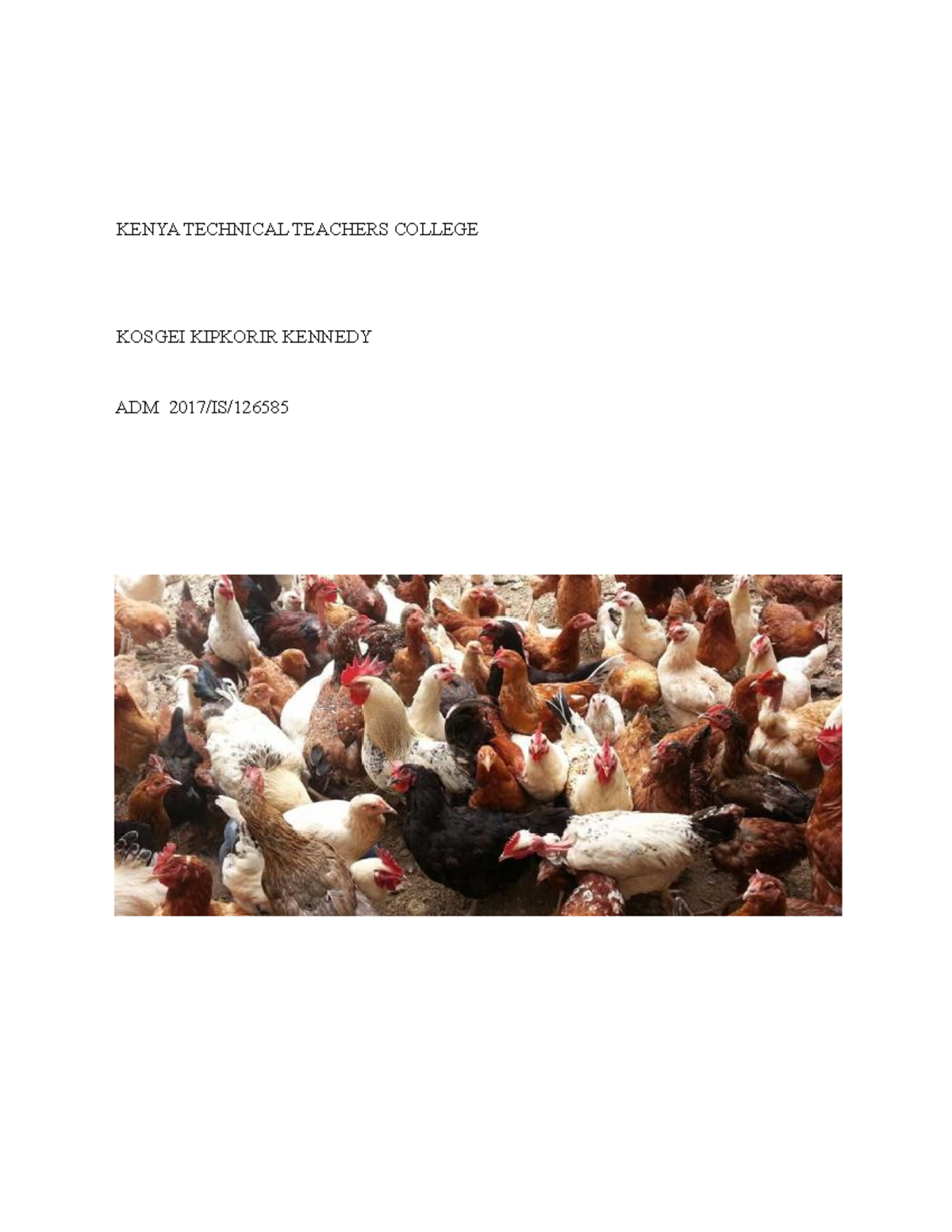 Business plan poultry farming docx - KENYA TECHNICAL TEACHERS COLLEGE ...