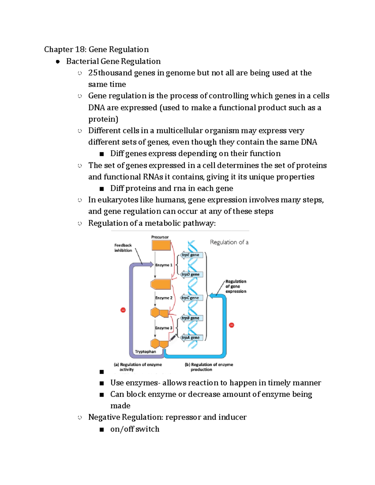 Ch18 bio notes - Chapter 18: Gene Regulation Bacterial Gene Regulation ...