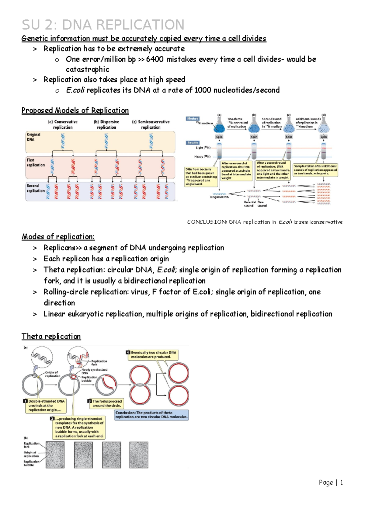 GTS 251 SU 2 - Summary Genetics - SU 2: DNA REPLICATION Genetic ...