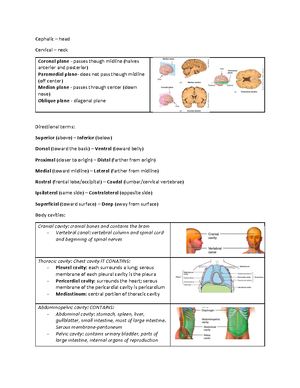 Lab 7 Upper LIMB part II - Warning: TT: undefined function: 32 Warning: Unimplemented annotation ...