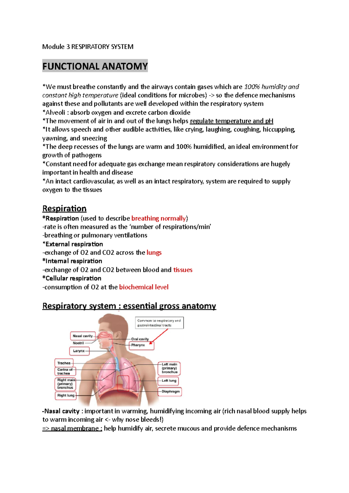 Module 3 respiratory system - Module 3 RESPIRATORY SYSTEM FUNCTIONAL ...