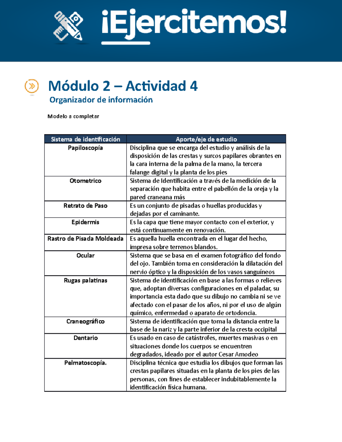Actividad 4 M2 modelo - api 2 - Módulo 2 – Actividad 4 Organizador de información Modelo a ...