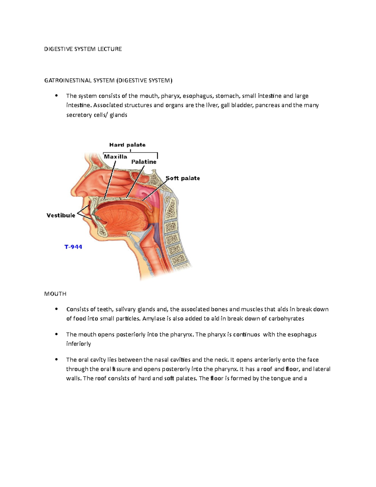 Digestive physiology and anatomy - DIGESTIVE SYSTEM LECTURE ...