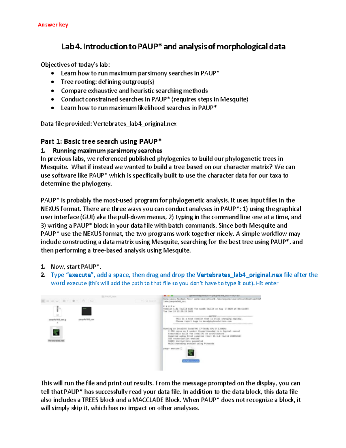 Lab4 PAUP-intro 2024 key - Lab 4. Introduction to PAUP* and analysis of morphological data - Studocu