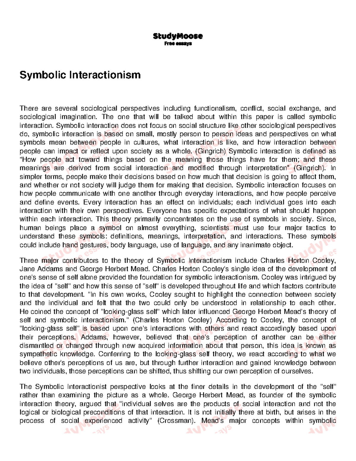 Symbolic Interactionism - Symbolic Interactionism There are several ...