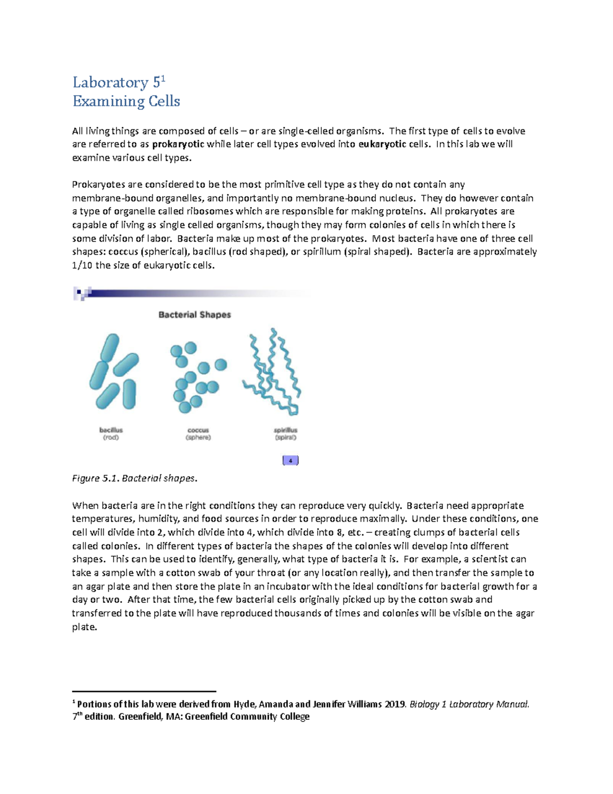 Examining Cells: Prokaryotes Bacterial Shapes and Eukaryotes - Studocu