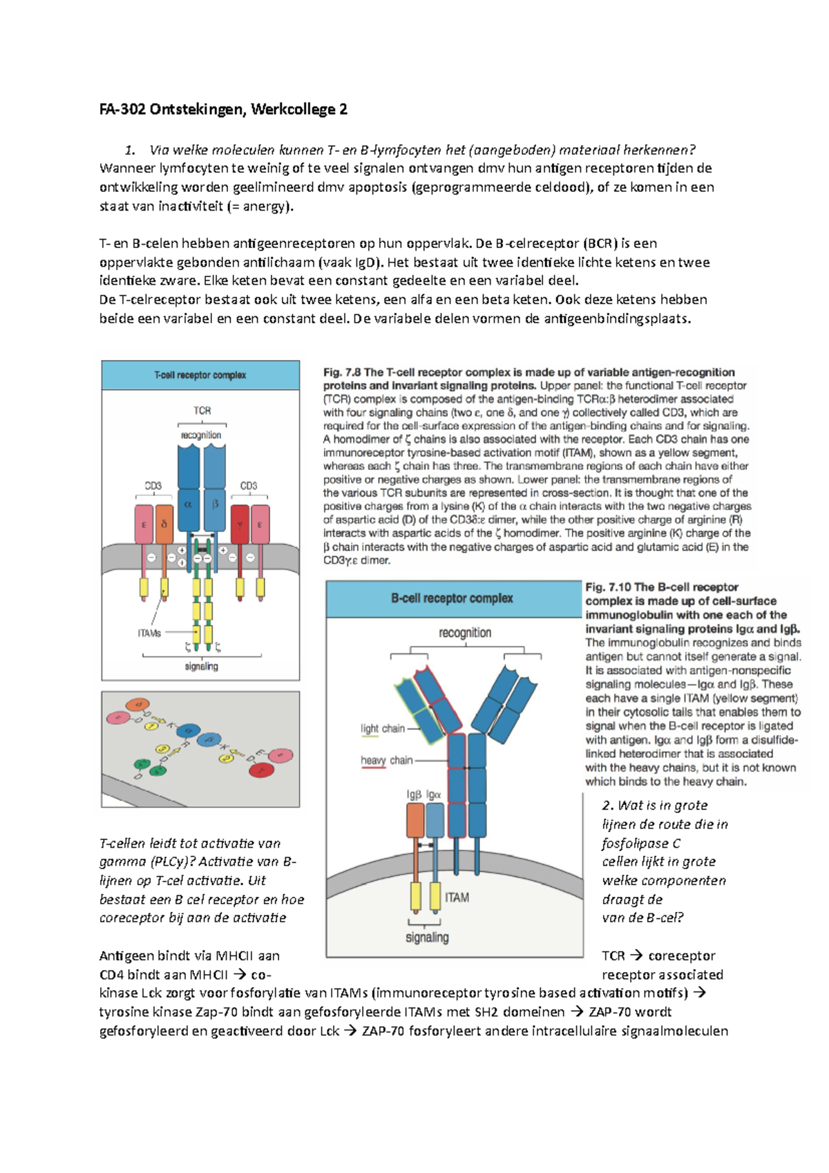 Werkcollege 2 FA-302 - Ontstekingen, Werkcollege 2 1. Via welke ...