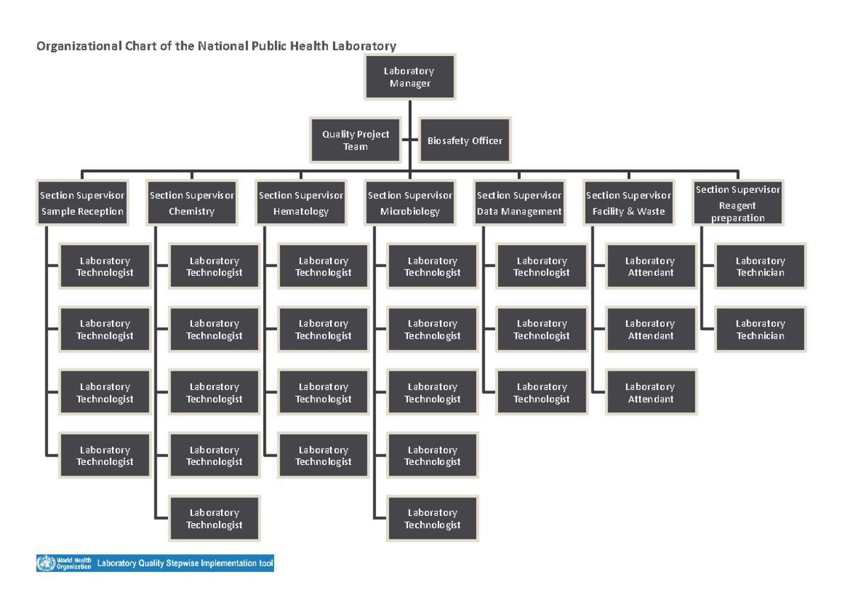 Template Organizational Chart B 0 - Organizational Chart of the ...