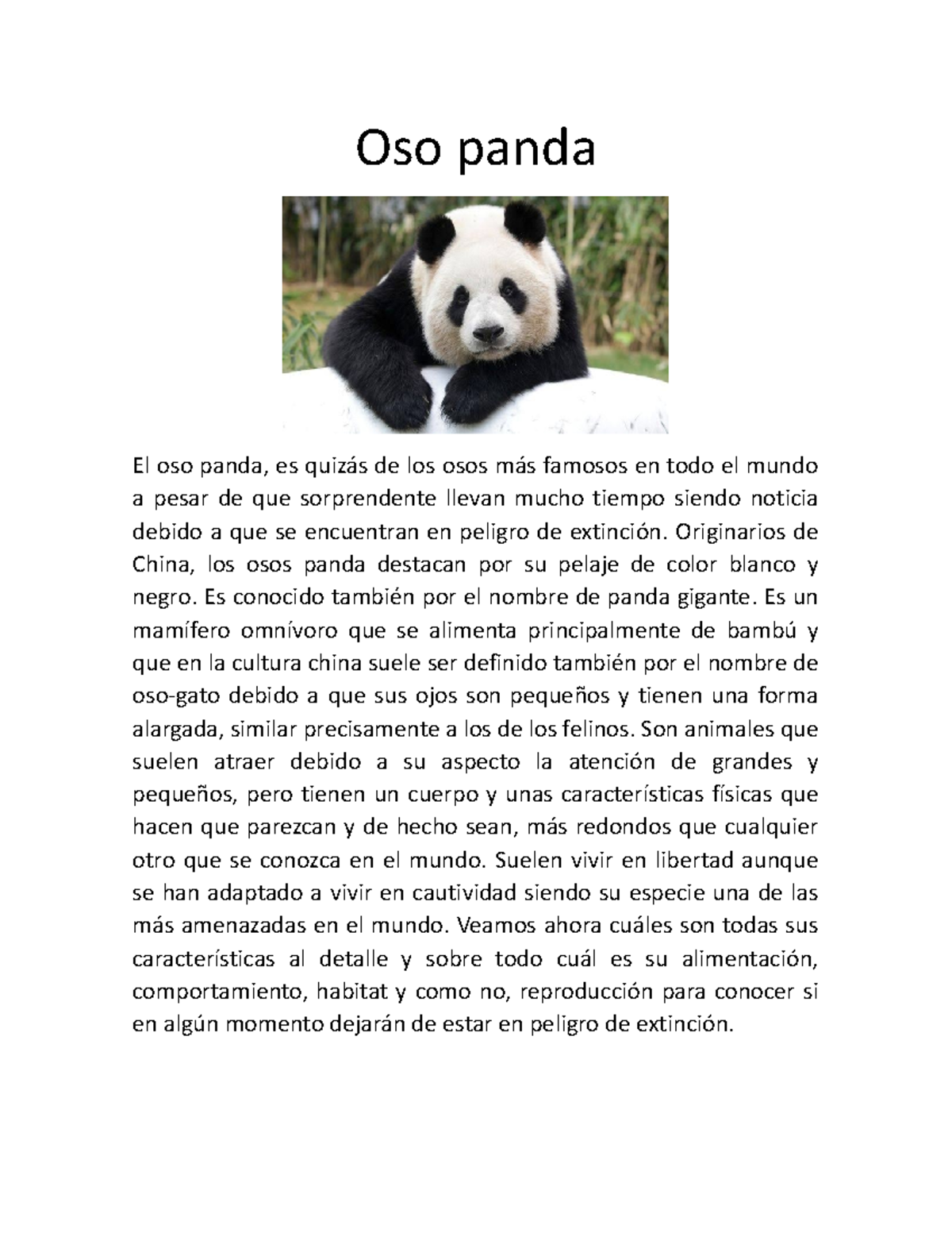 Oso panda - Oso panda El oso panda, es quizás de los osos más famosos ...