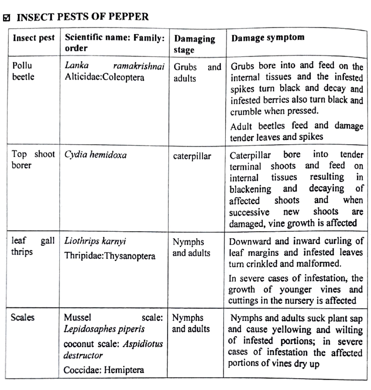 Insect pests of Pepper - INSECT PESTS OF PEPPER Insect pest Scientific ...