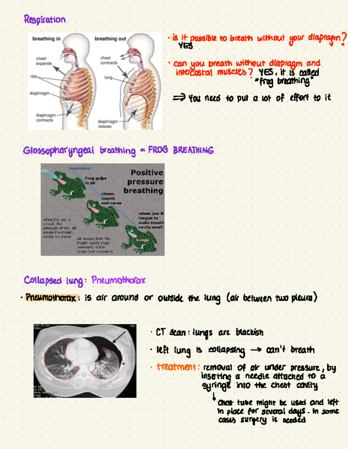 Lung pathology lecture notes - Respiration · is it possible to breath ...