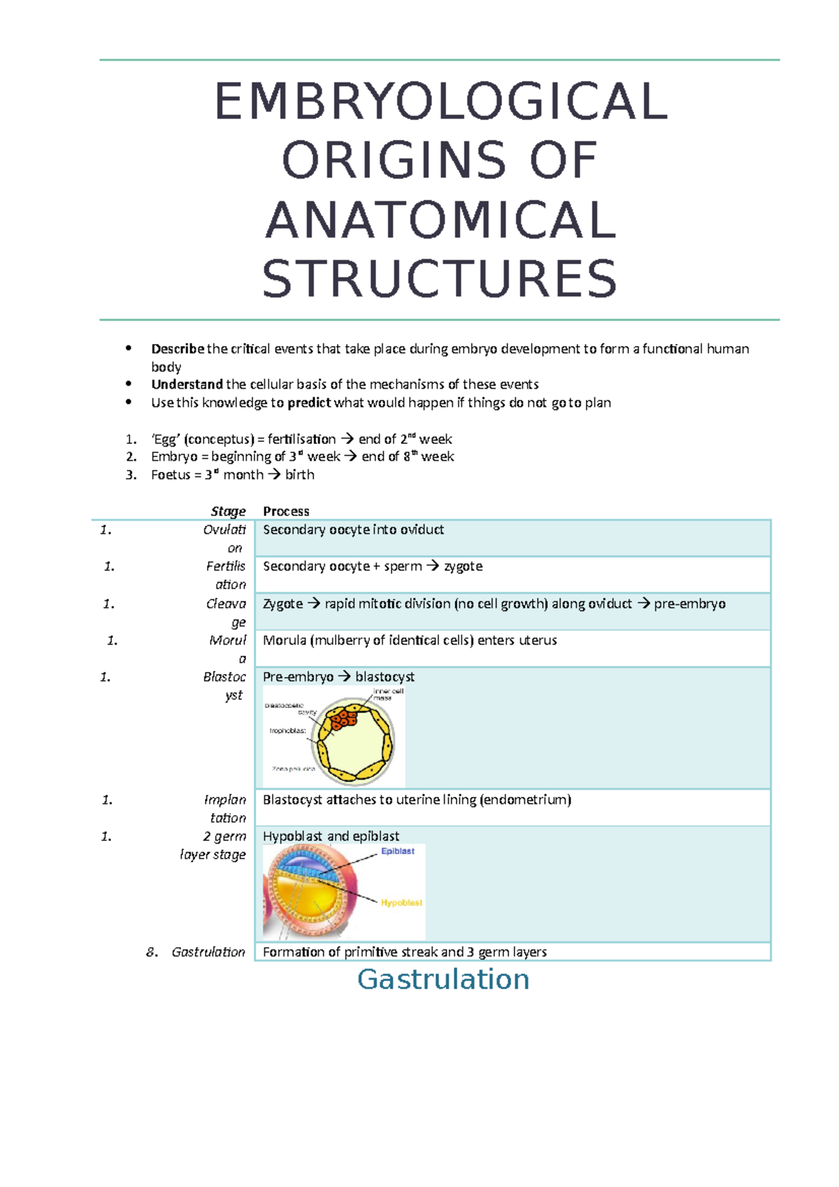 Embryology - EMBRYOLOGICAL ORIGINS OF ANATOMICAL STRUCTURES Describe ...
