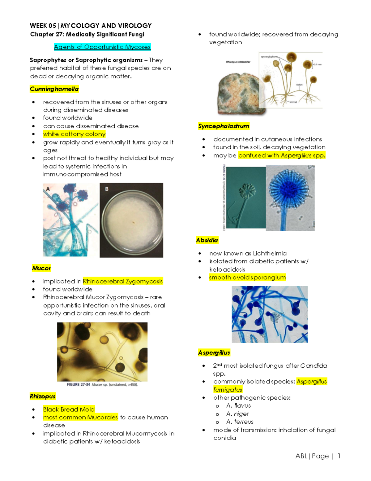 Chapter 27 Medically Significant Fungi WEEK 5 - Chapter 27: Medically ...