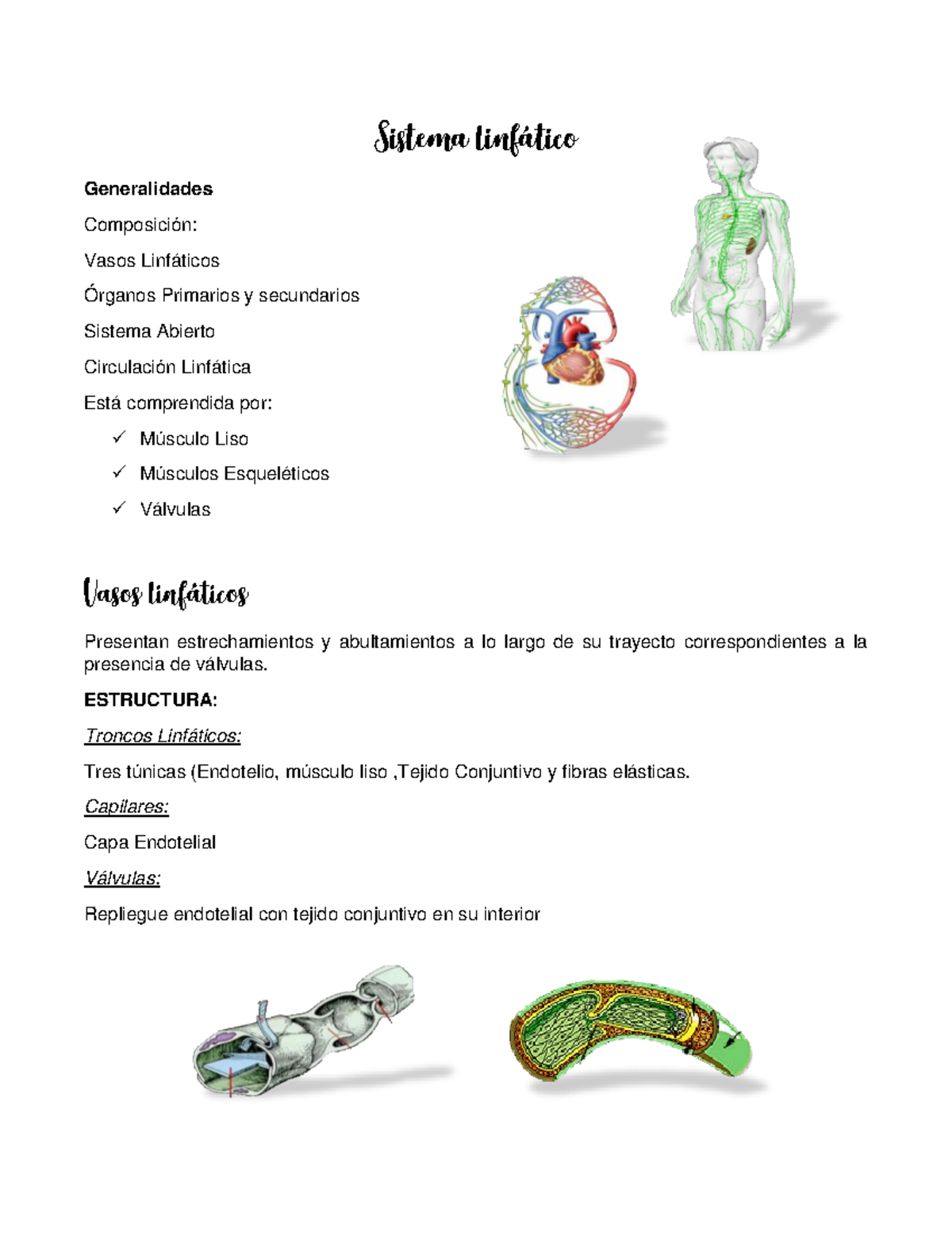 Sistema linfático - Warning: TT: undefined function: 32 Sistema linfático Generalidades ...