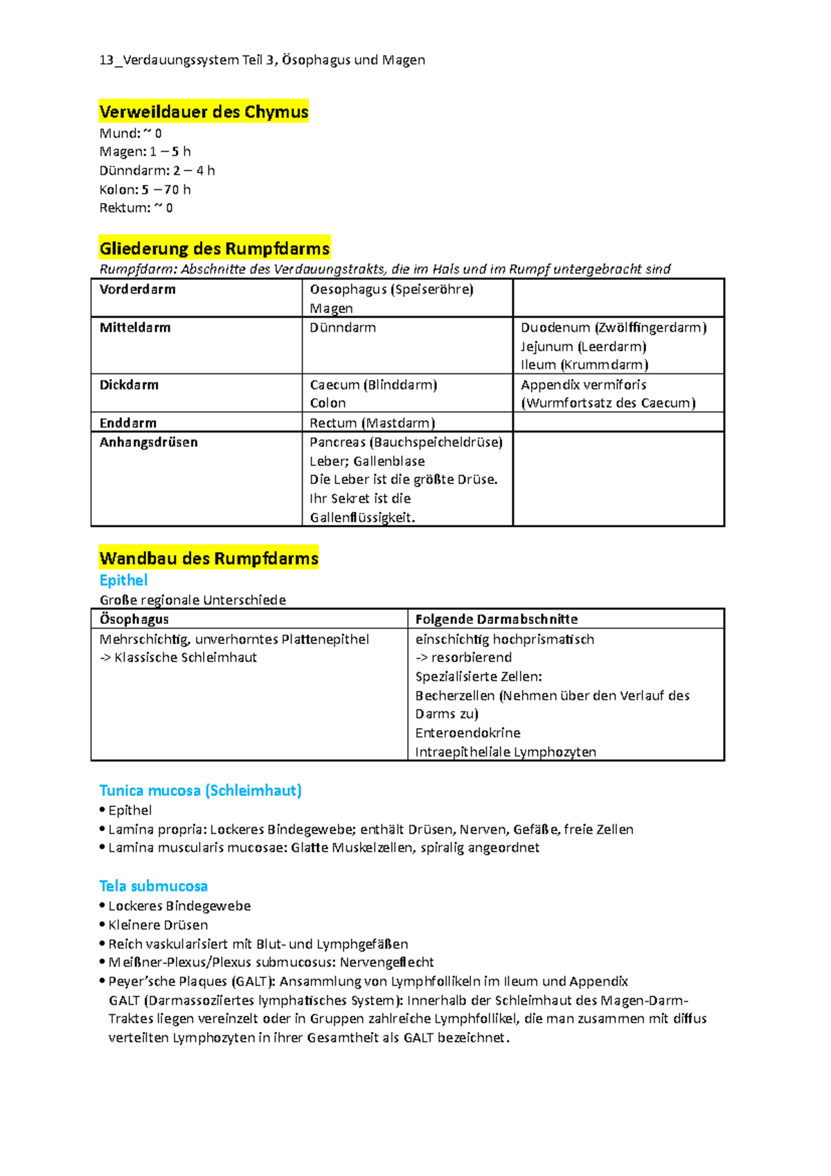 13 Verdauungssystem Magen - 13_Verdauungssystem Teil 3, und Magen ...