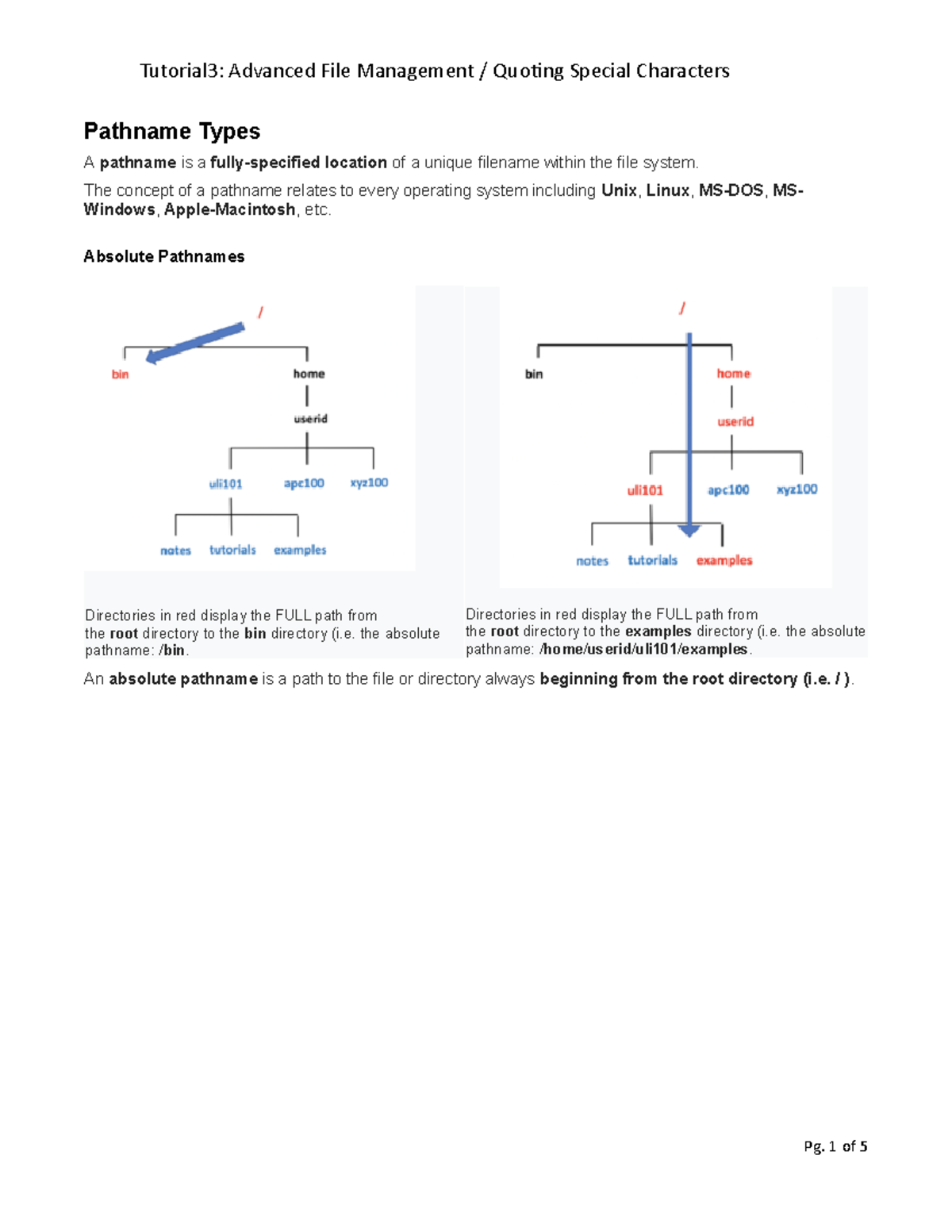 Tutorial 3 Advanced File Management Quoting Special Characters ...
