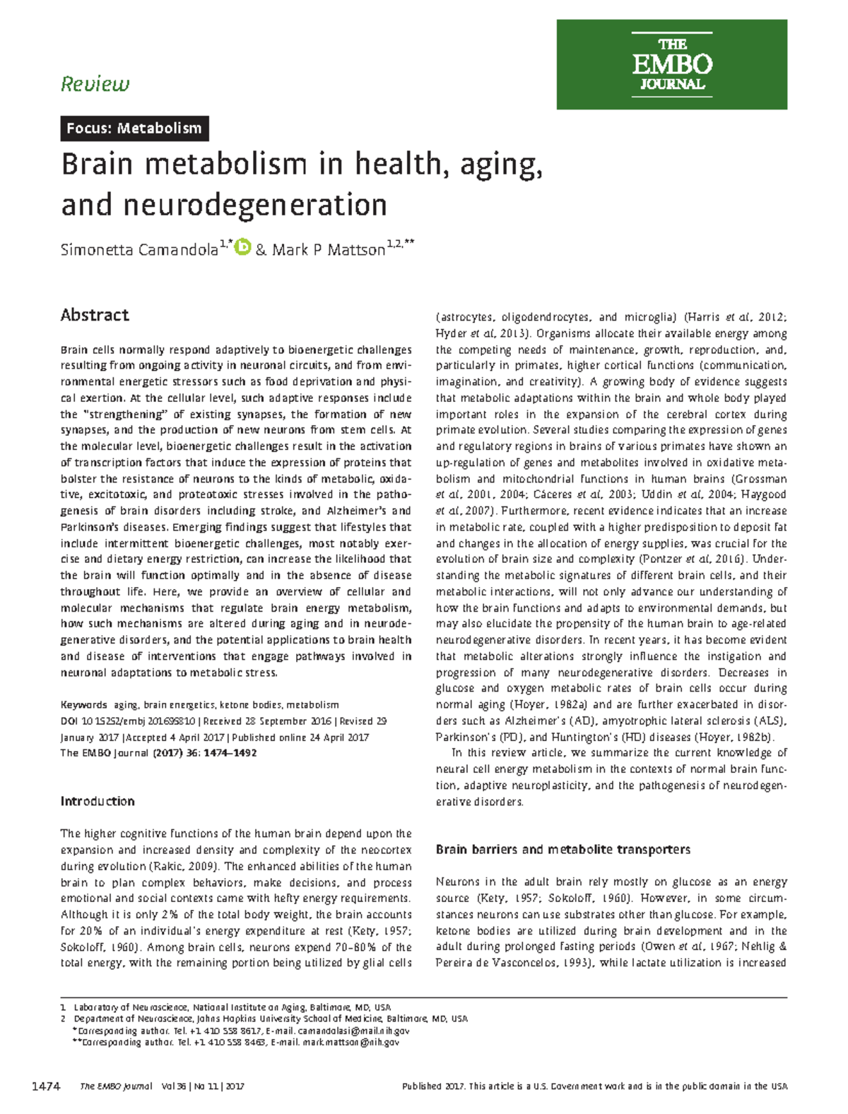 Brain metabolism journal page - Review Focus: Metabolism Brain ...