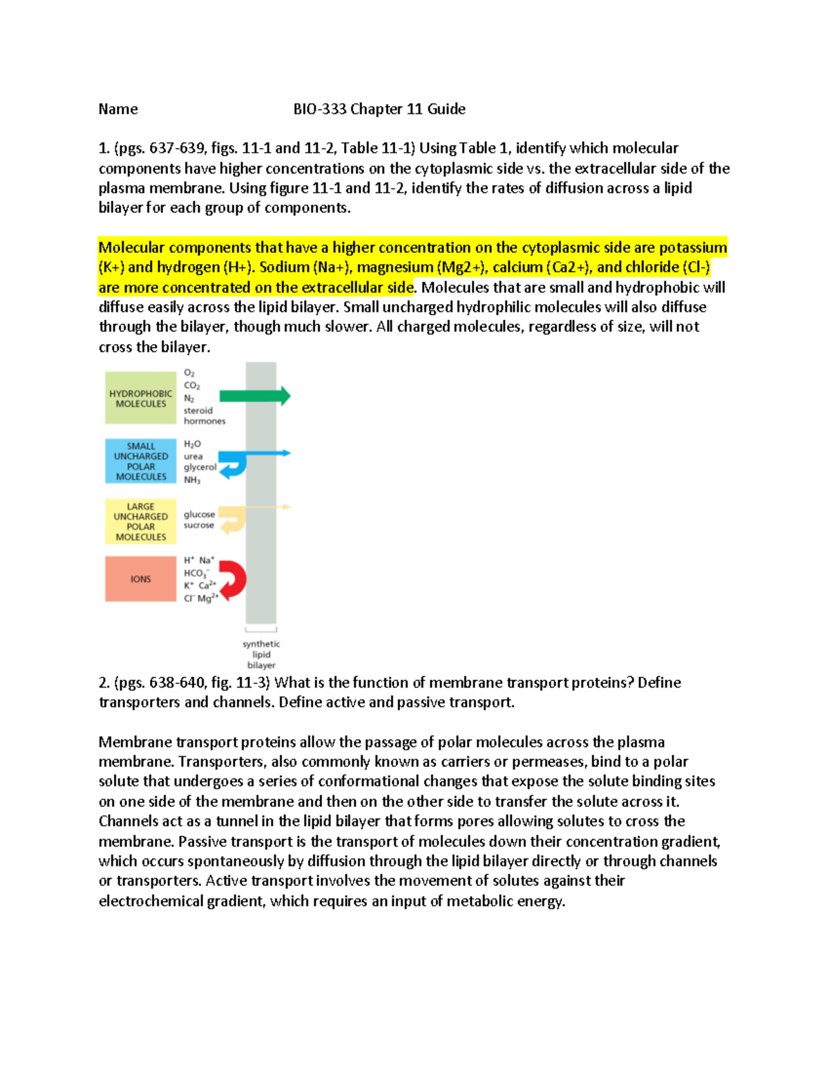 BIO333 - Chapter 11 SG - Study Guide - Name BIO-333 Chapter 11 Guide ...