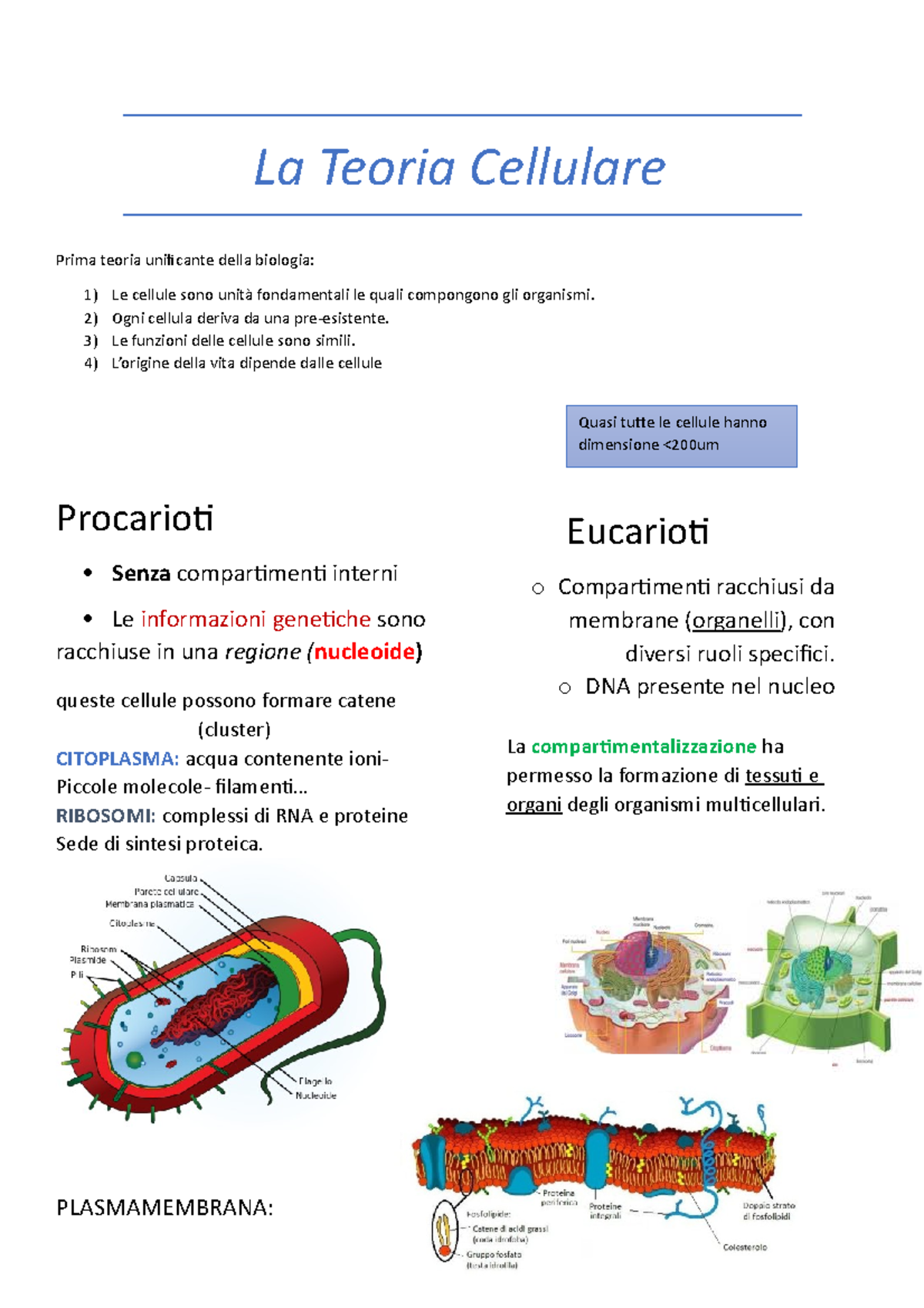 Appunti Biologia - La Teoria Cellulare Prima teoria unificante della biologia: 1) Le cellule ...