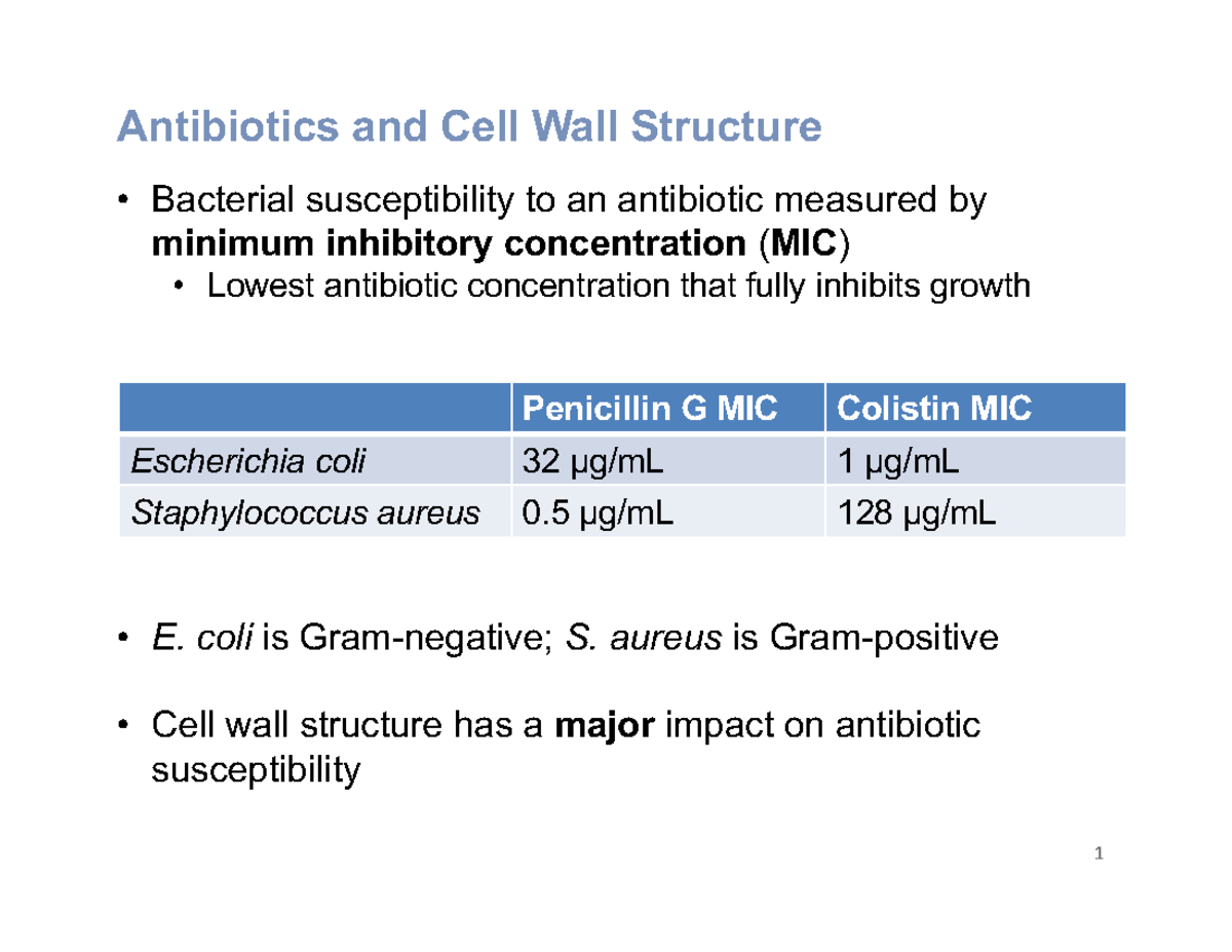 MICR 221 - W24 - Lecture 10 - Prokaryotic Cell Envelope II-compressed ...