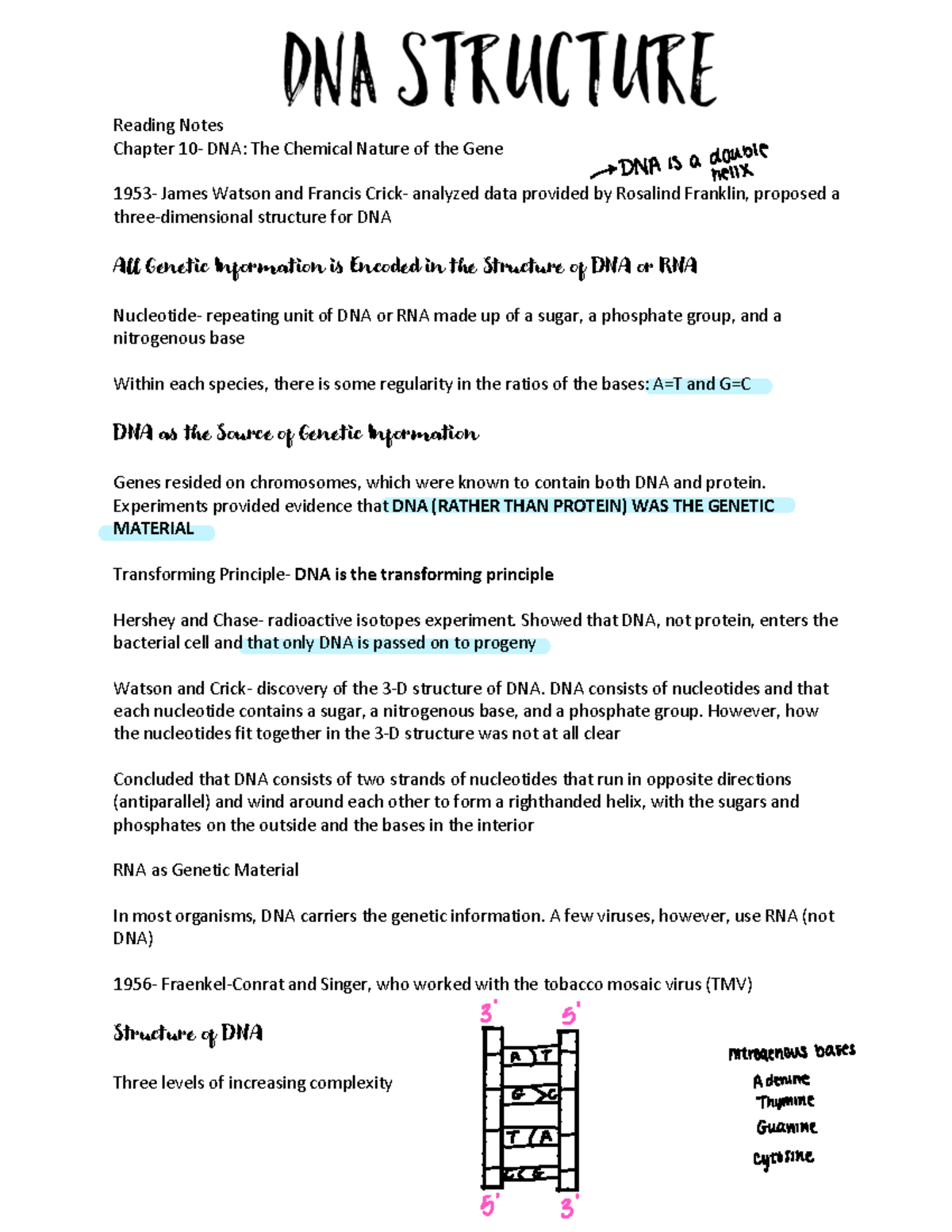 Genetics Chapter 10 DNA Structure Notes - Reading Notes Chapter 10- DNA ...