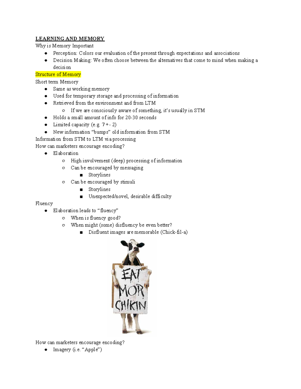 MKT 346 Final Study Guide LEARNING AND MEMORY Why Is Memory Important