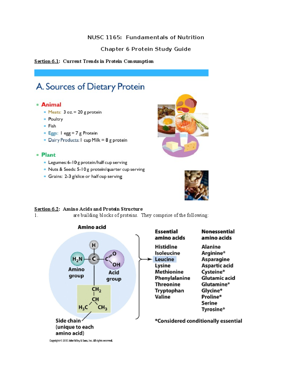 Exam 3 study guide - NUSC 1165: Fundamentals of Nutrition Chapter 6 ...