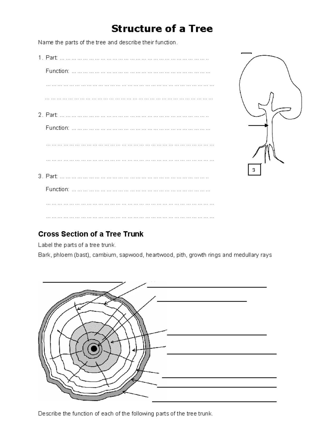Timber worksheets wood materials - Structure of a Tree Name the parts ...