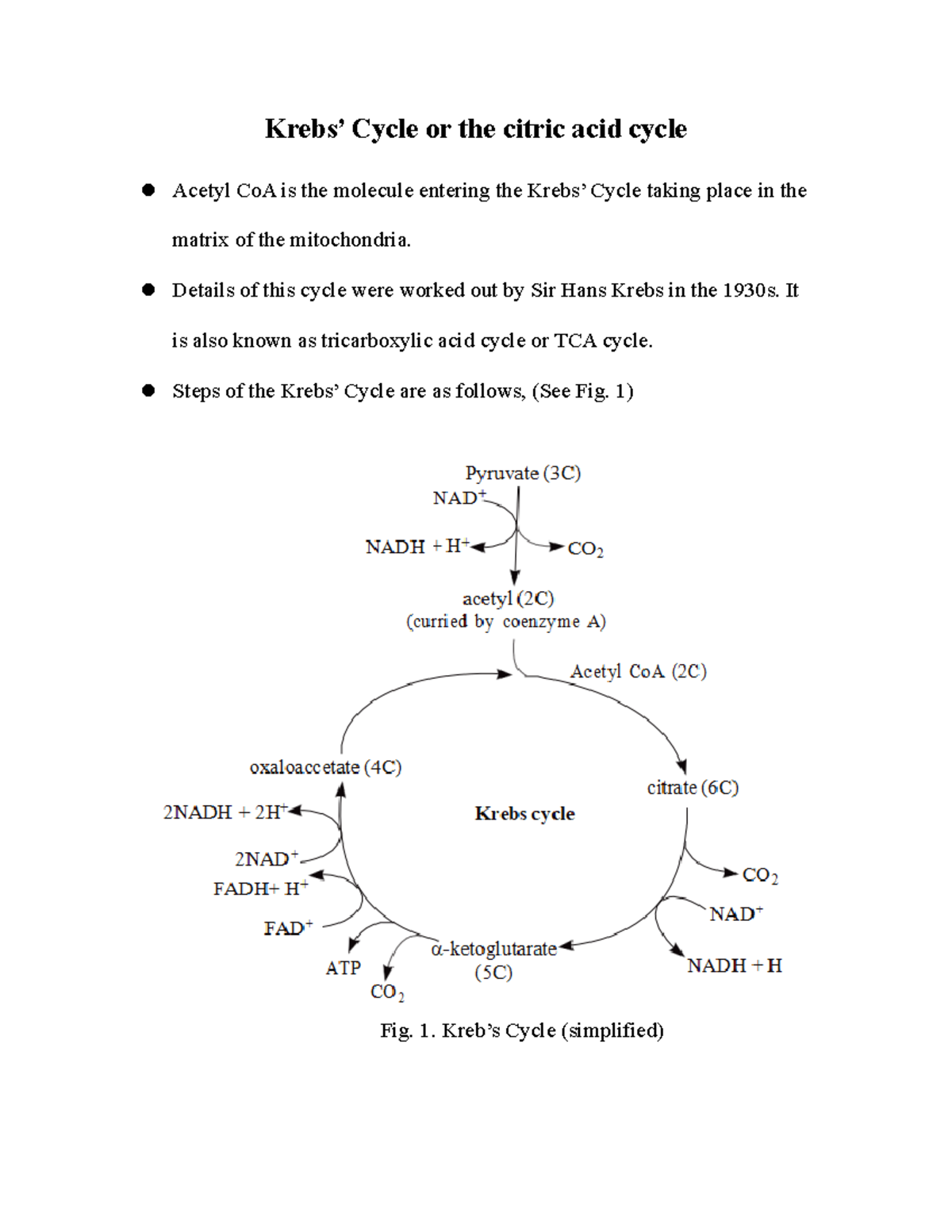 Krebs’ Cycle or the citric acid cycle - Details of this cycle were ...