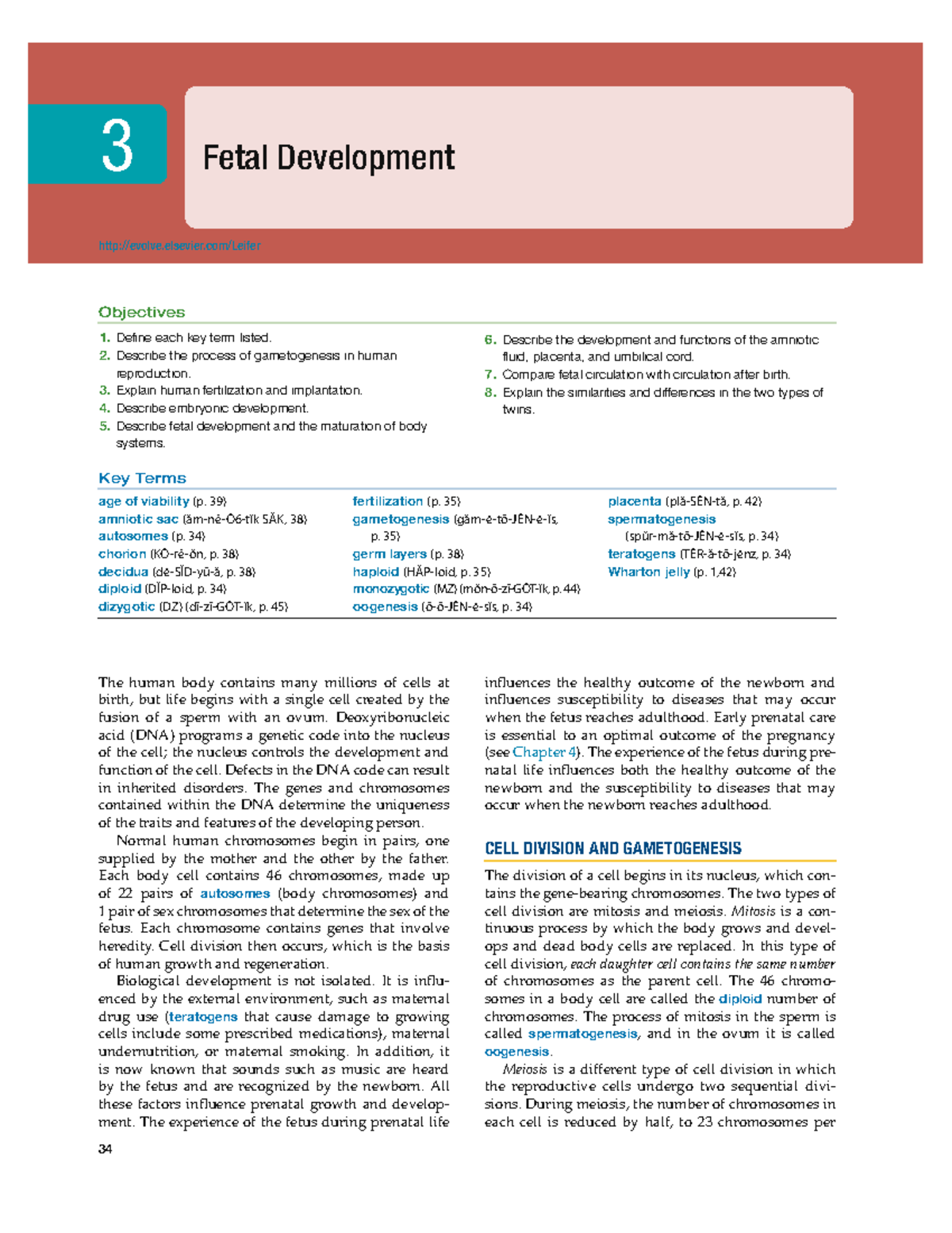 Chapter 3 - 8 34 3 Fetal Development Objectives 1. Define each key term ...