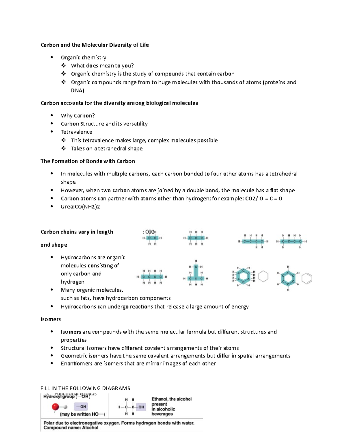 Biology Chapter 4 notes - Carbon and the Molecular Diversity of Life ...
