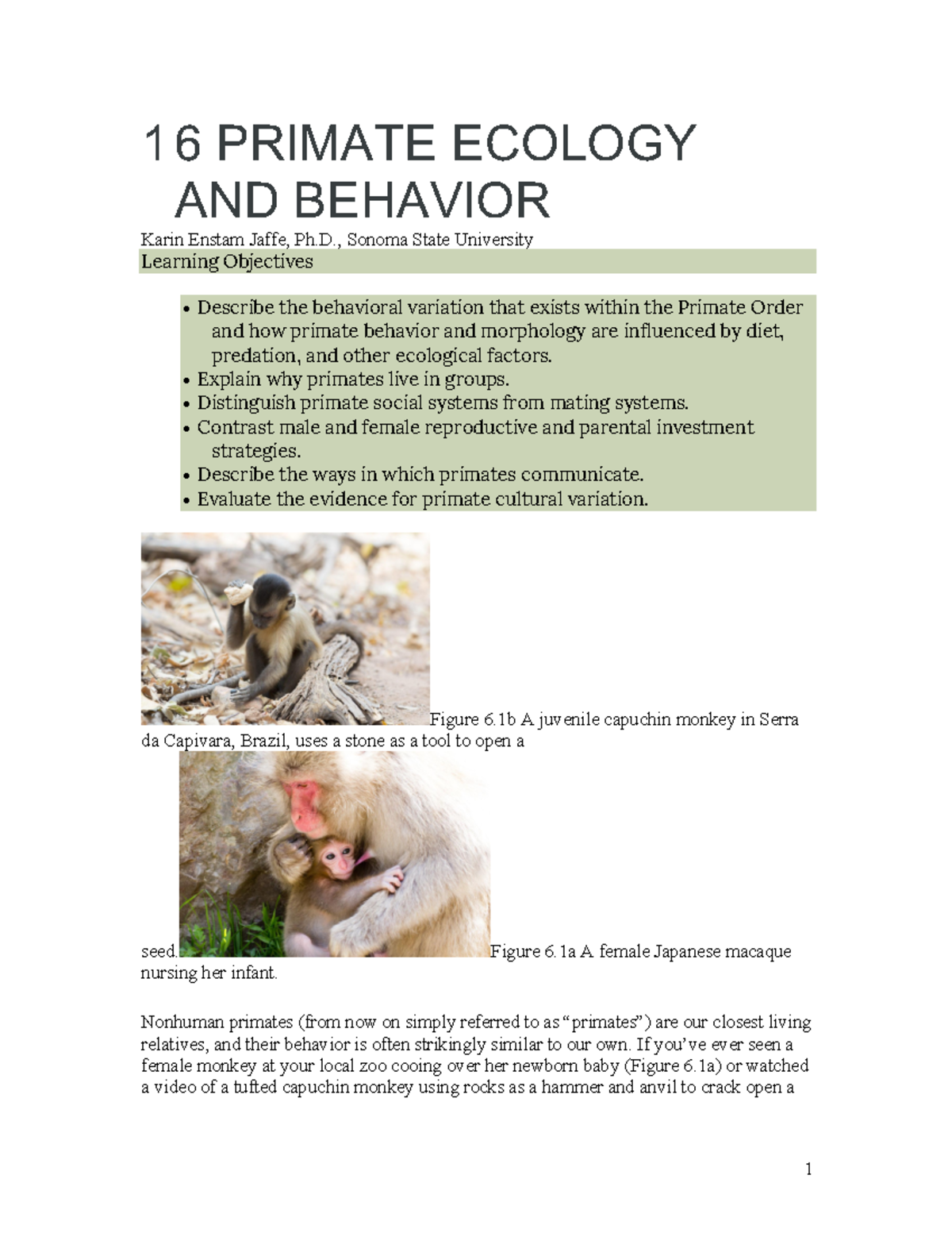 Ch 6 anth - note - 1 6 PRIMATE ECOLOGY AND BEHAVIOR Karin Enstam Jaffe ...