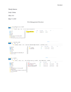 GRA 310 File Naming Worksheet - Wendy Munroe Joely Corban GRA- May 11 ...