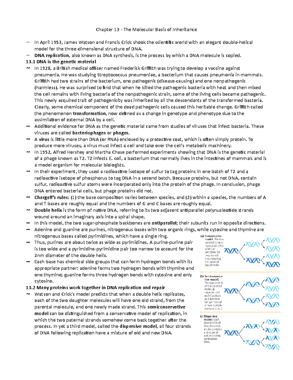 Chapter 13 - The Molecular Basis of Inheritance - Chapter 13 - The ...