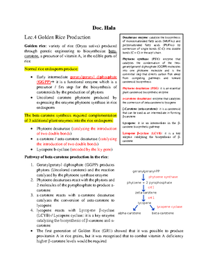 Genetic Engineering 7 - summary from Gene Cloning and manipulation ...