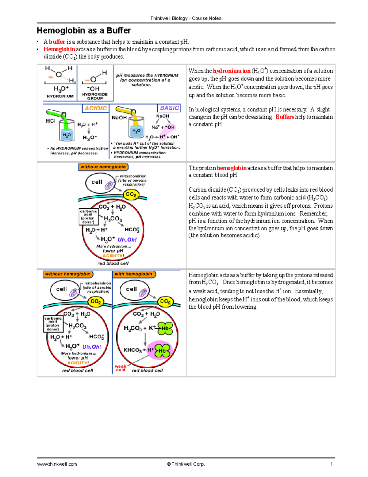 673 - assignment notes - Hemoglobin as a Buffer A buffer is a substance ...