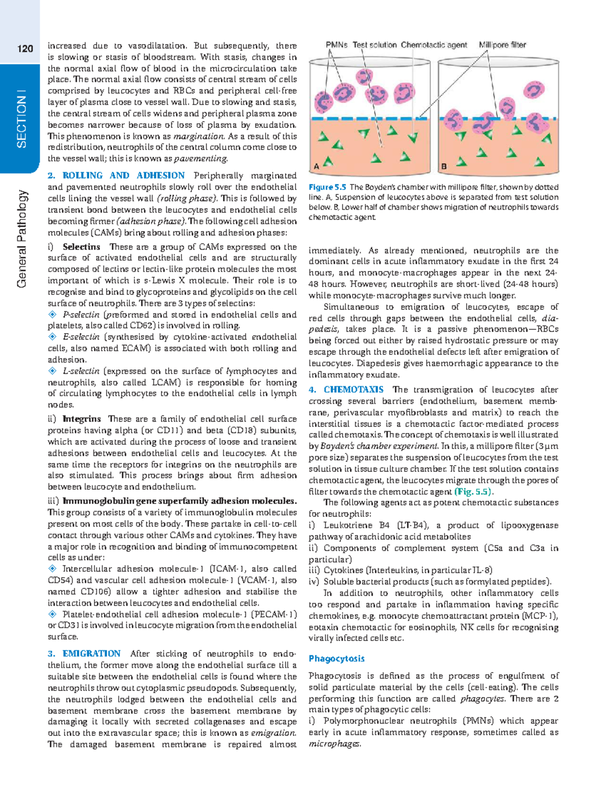 Harsh Mohan Textbook of Pathology, 7th edition-16 - 120 General ...