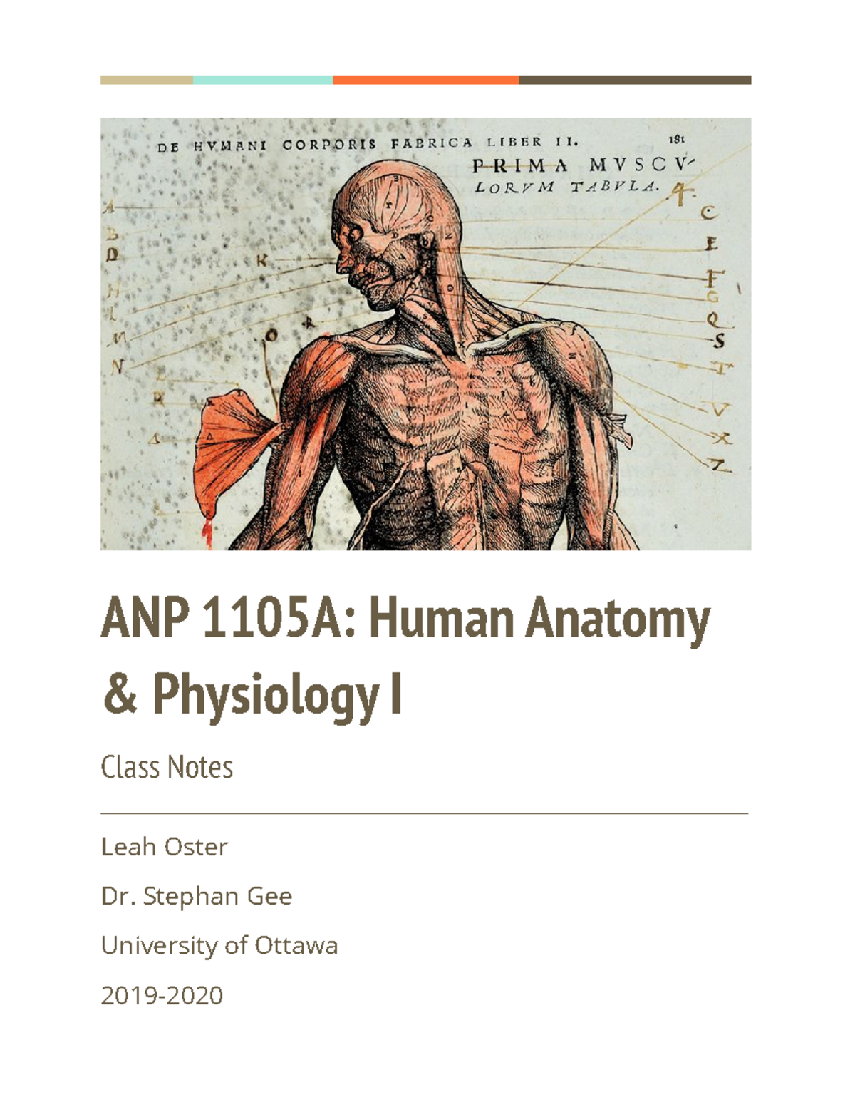 Anatomy - Lecture notes 1-3 - ANP 1105A: Human Anatomy & Physiology I ...