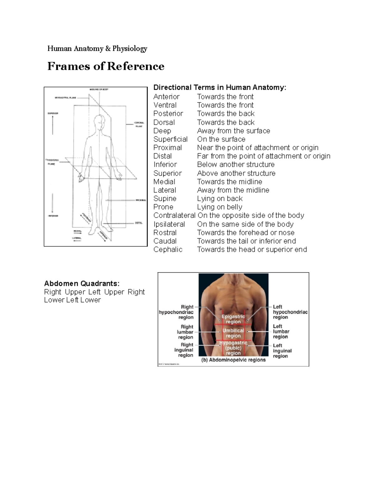 Frames - These are lecture notes for Human Anatomy And Physiology I ...