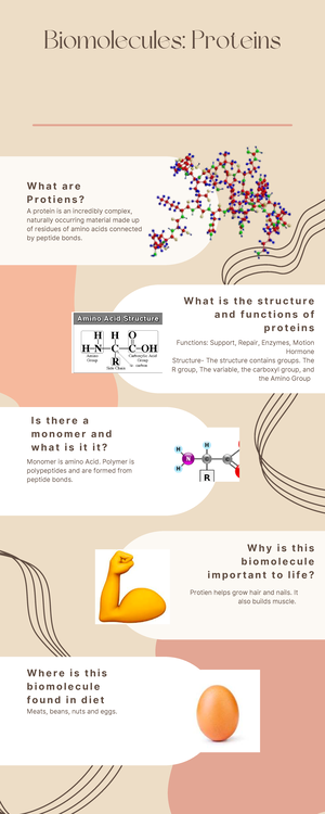 Copy of 3D Protein Synthesis Modeling - modified 22724 - 3D Protein ...