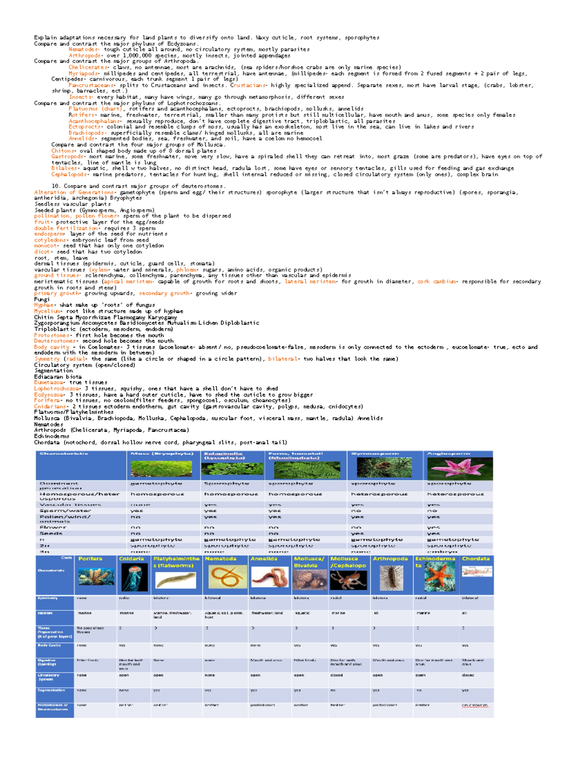 Exam 2 Cheat sheet - study guide - Explain adaptations necessary for ...
